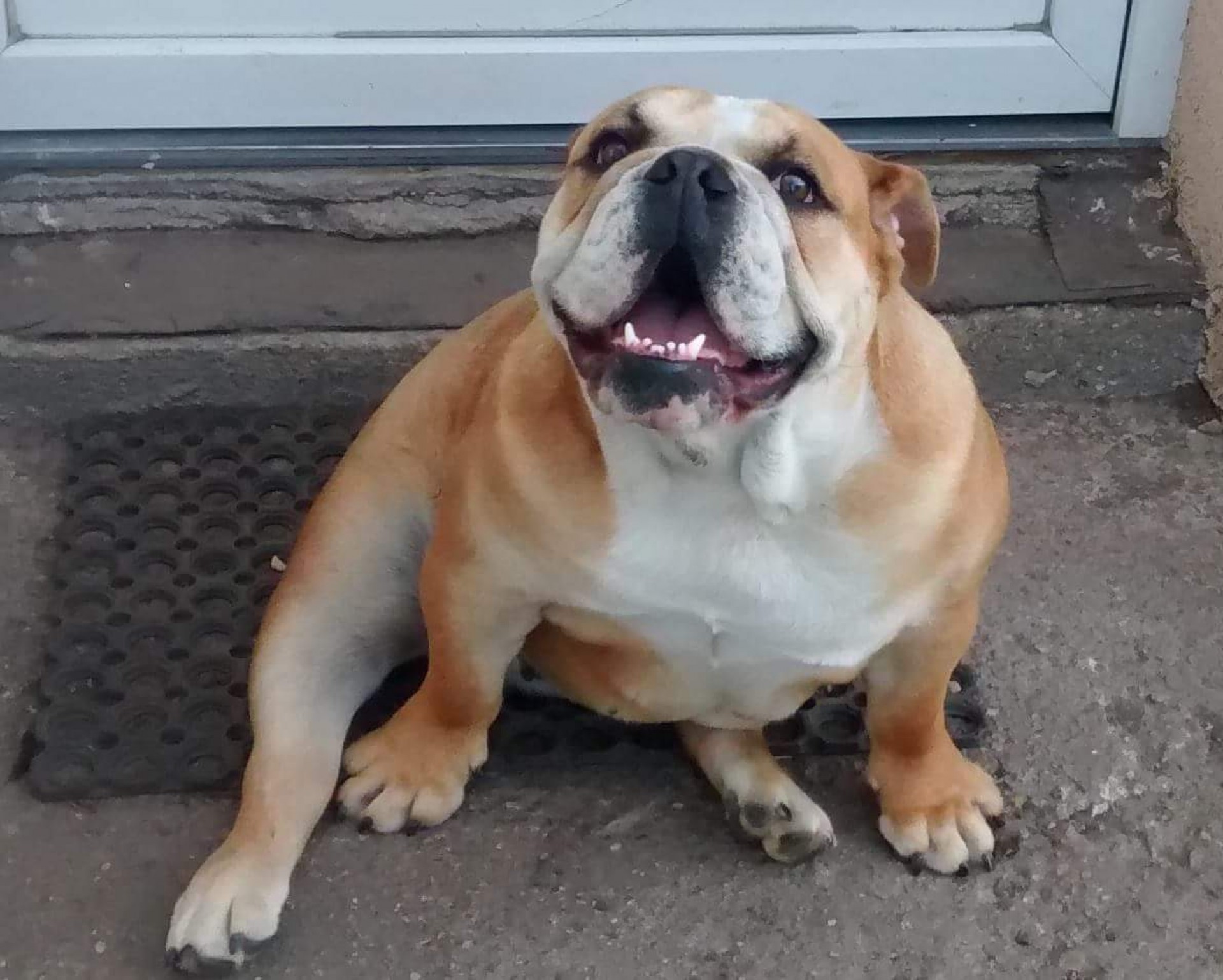 From Family to Family - Gorky